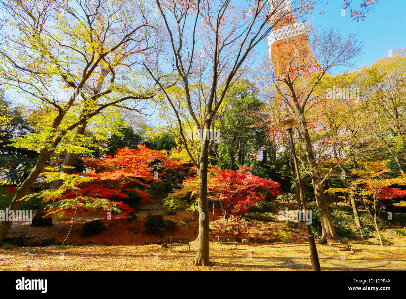 A park in japan hi-res stock photography and images - Alamy