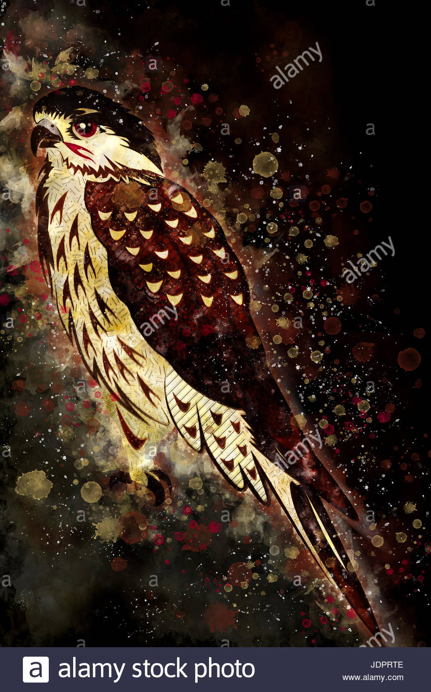 Falcon Hunting Arab High Resolution Stock Photography and Images - Alamy