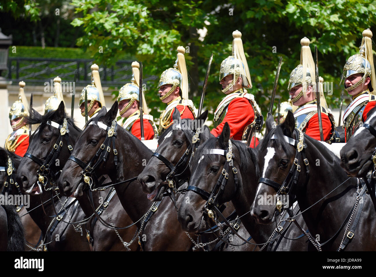 Household cavalry life guards hi-res stock photography and images - Alamy