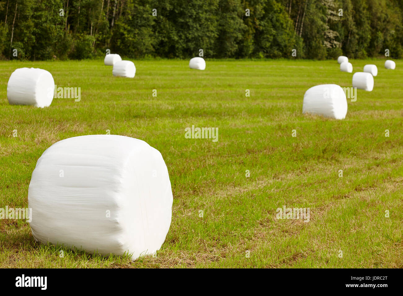 Packed fresh grass in the countryside. Norwegian landscape. Agriculture ...