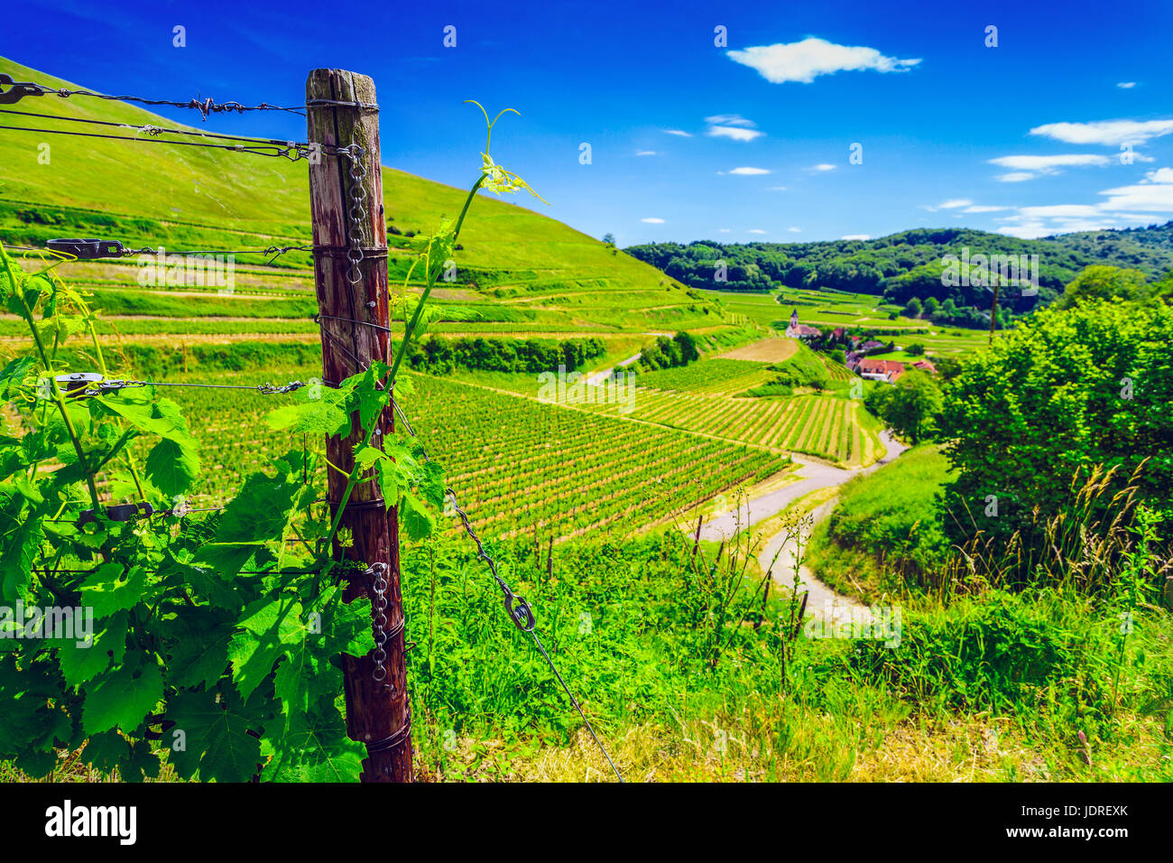 Beautiful summer countryside landscape with vineyards and old ...