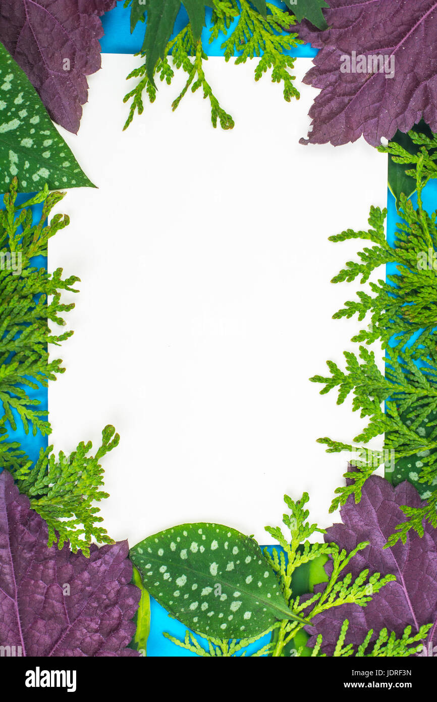 Creative layout from leaves of different colors on blue background ...