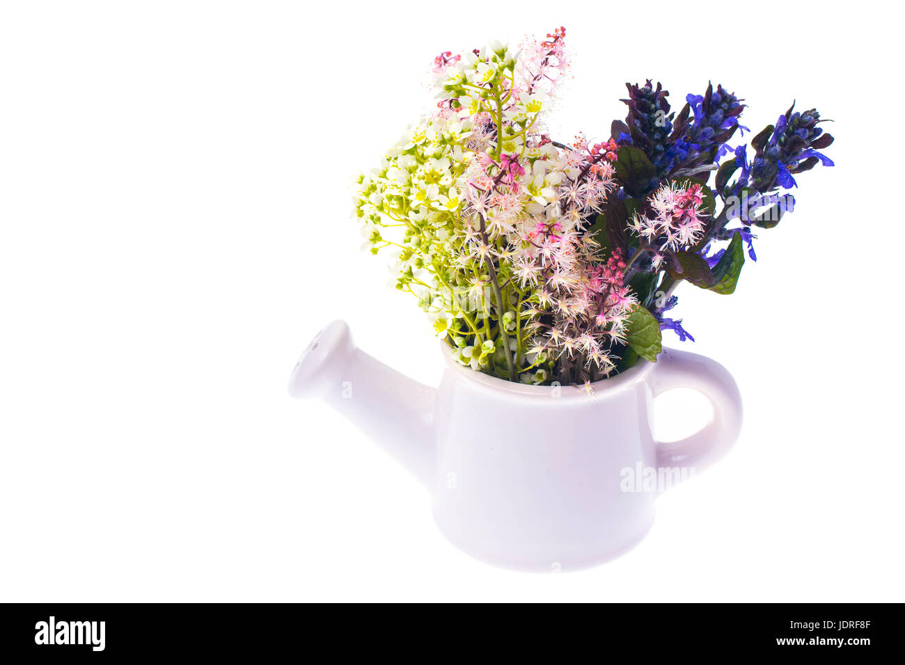 Creative vase with flowers Isolated on white background. Studio Photo ...