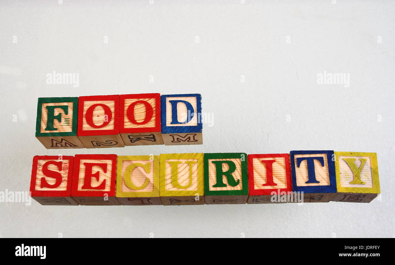 The term food security displayed visually on a white background using ...