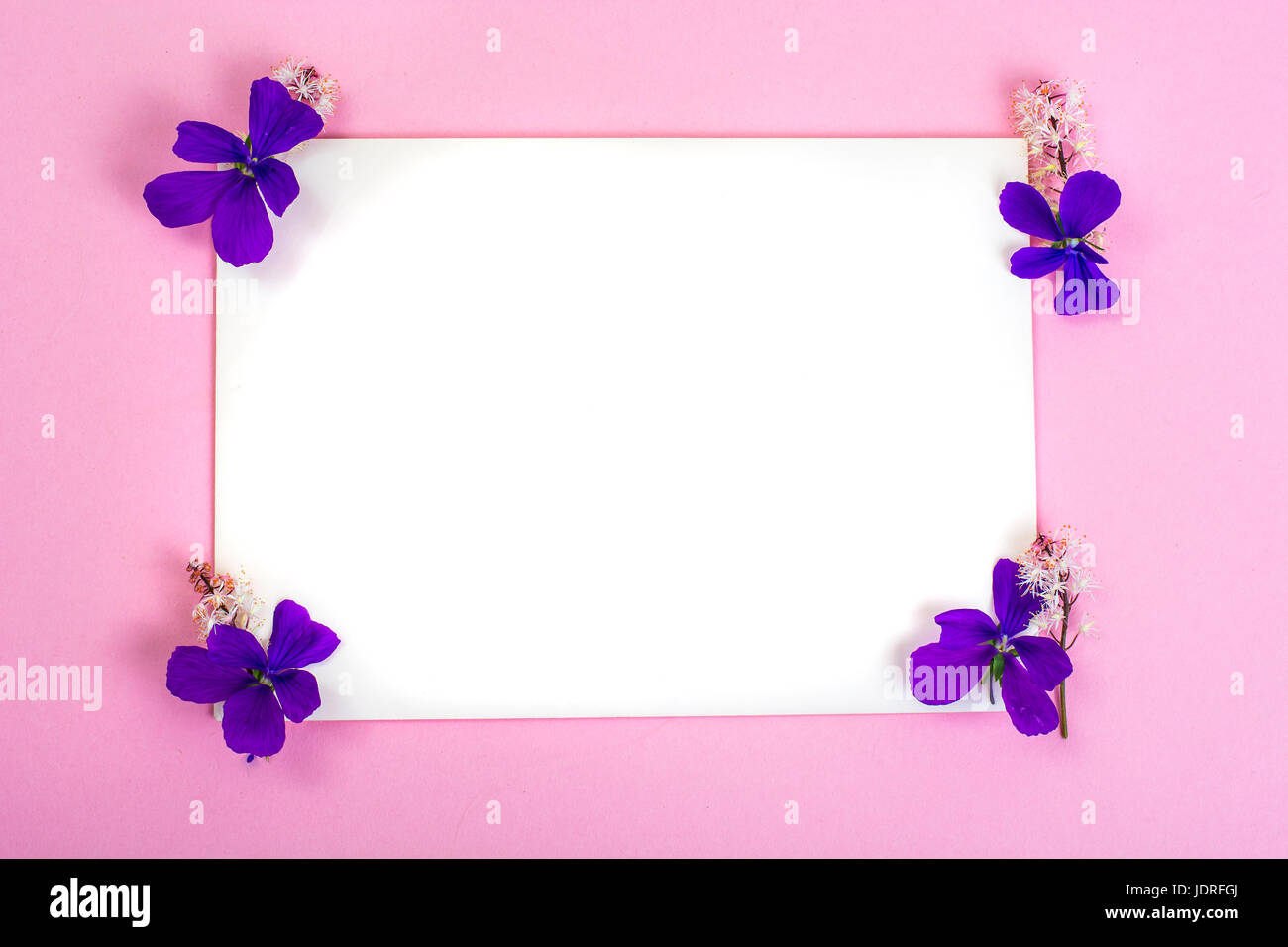 Creative layout made from flowers on background of colored paper ...