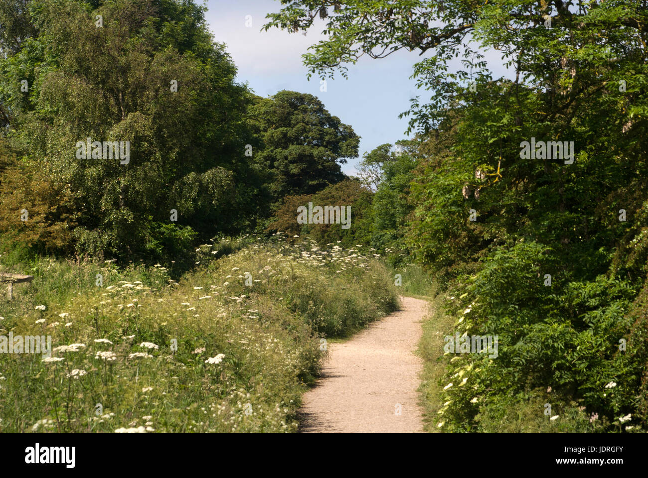 Summerhill Country Park, Hartlepool Stock Photo - Alamy