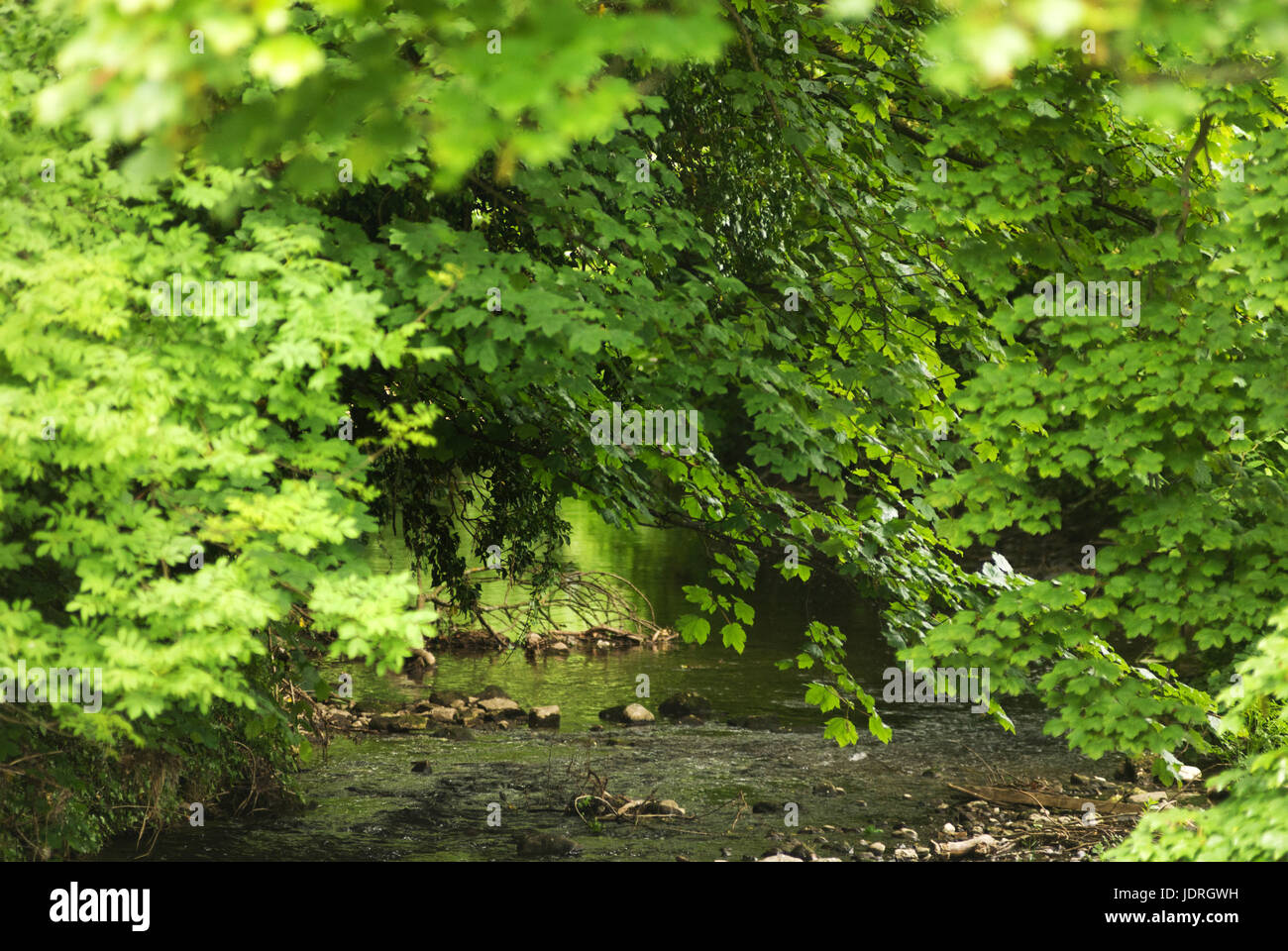 Ponteland hi-res stock photography and images - Alamy