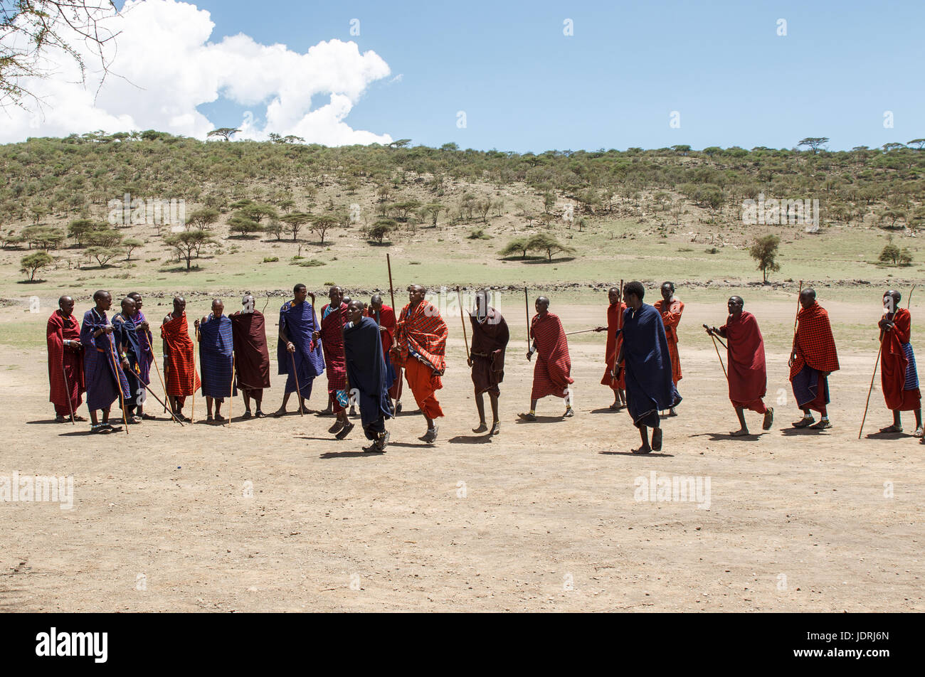 Masai with sticks hi-res stock photography and images - Alamy