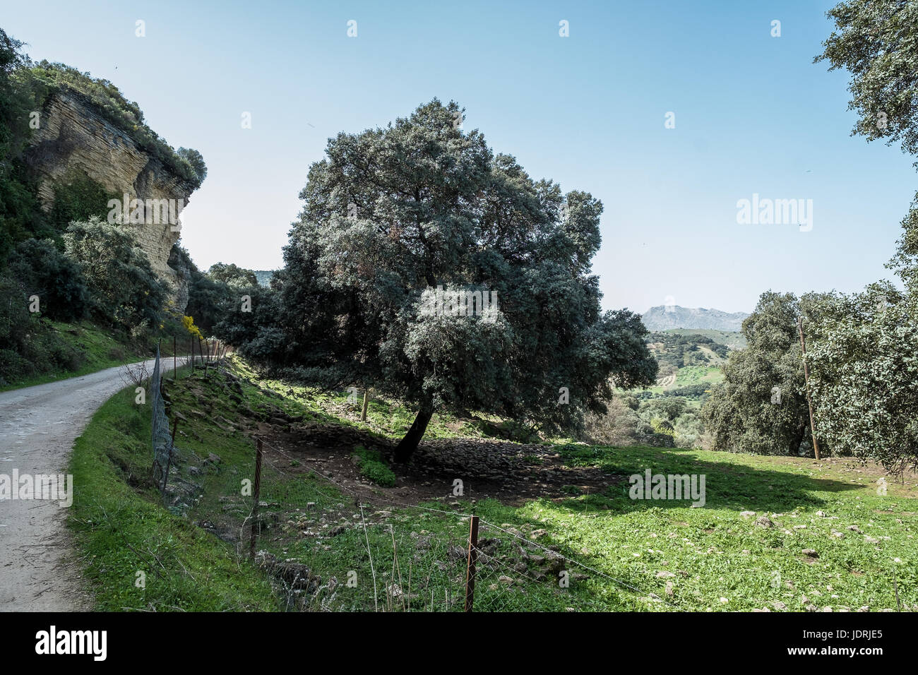Rural areas and the countryside hi-res stock photography and images - Alamy