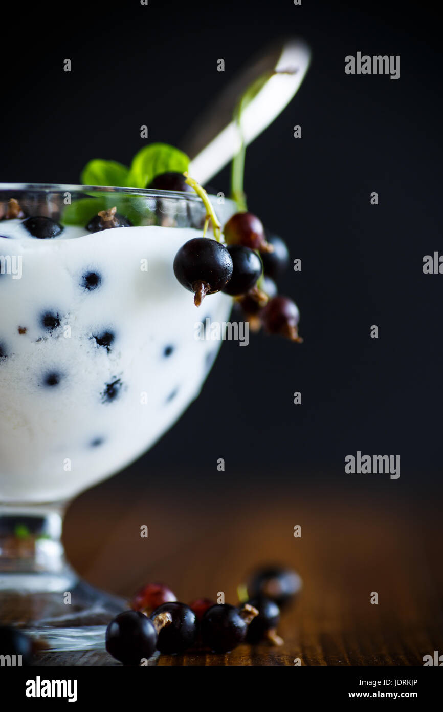 Sweet Greek yogurt with black currant berries Stock Photo - Alamy