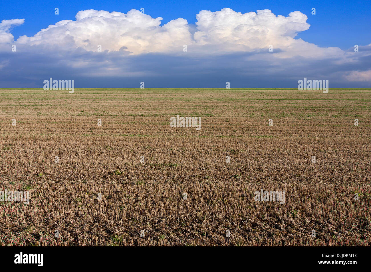 Autumn, fall meadows in harvest time. Clouds and sky in the background ...