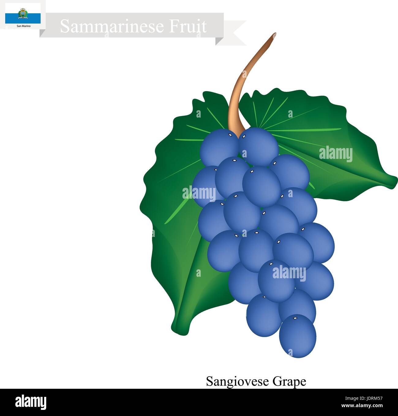 Yemen Fruit, Ripe and Sweet Grape. One of The Most Popular Fruits of ...