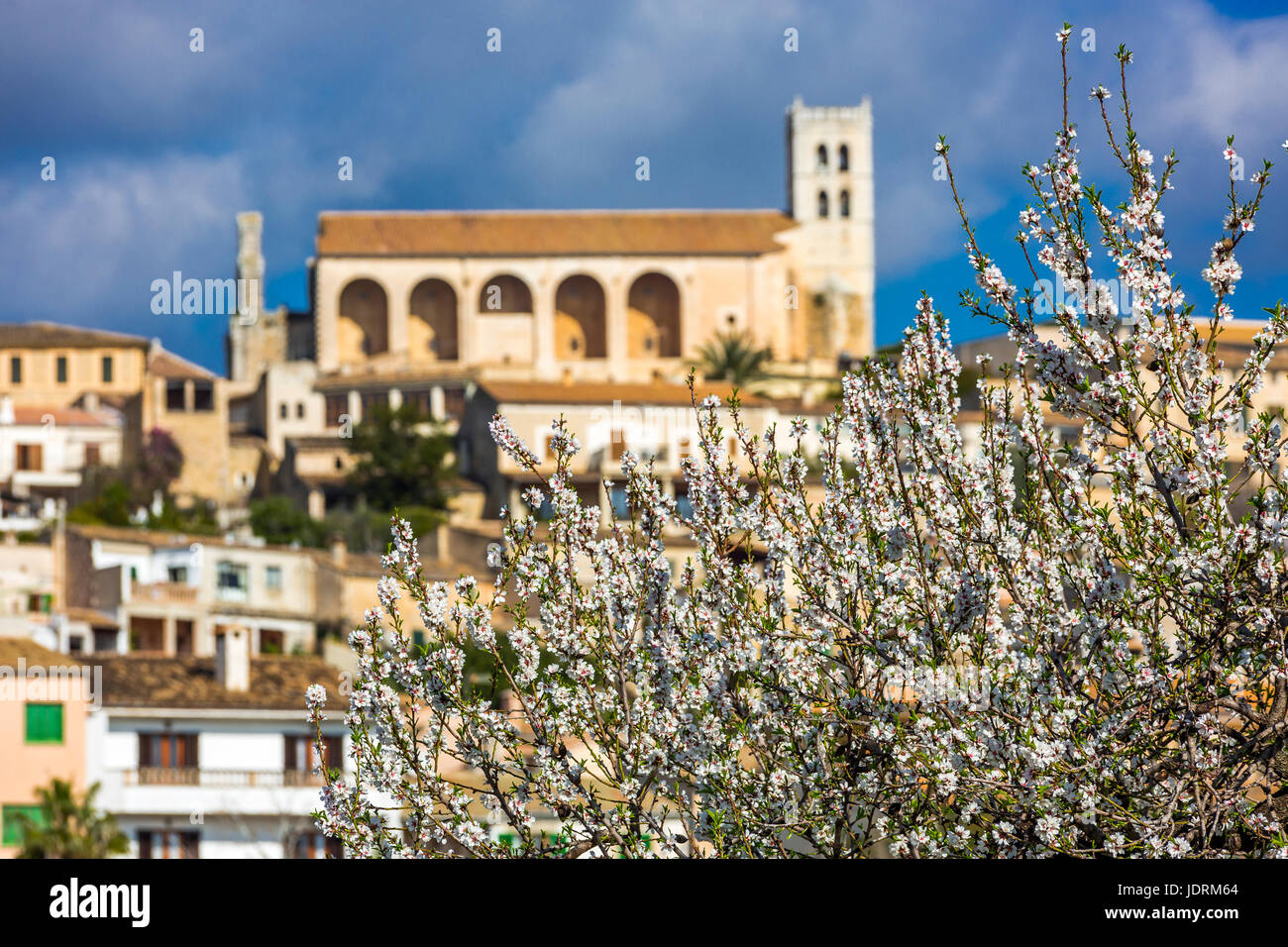almond blossom in village Selva, Es Raiguer, Majorca, Spain Stock Photo ...