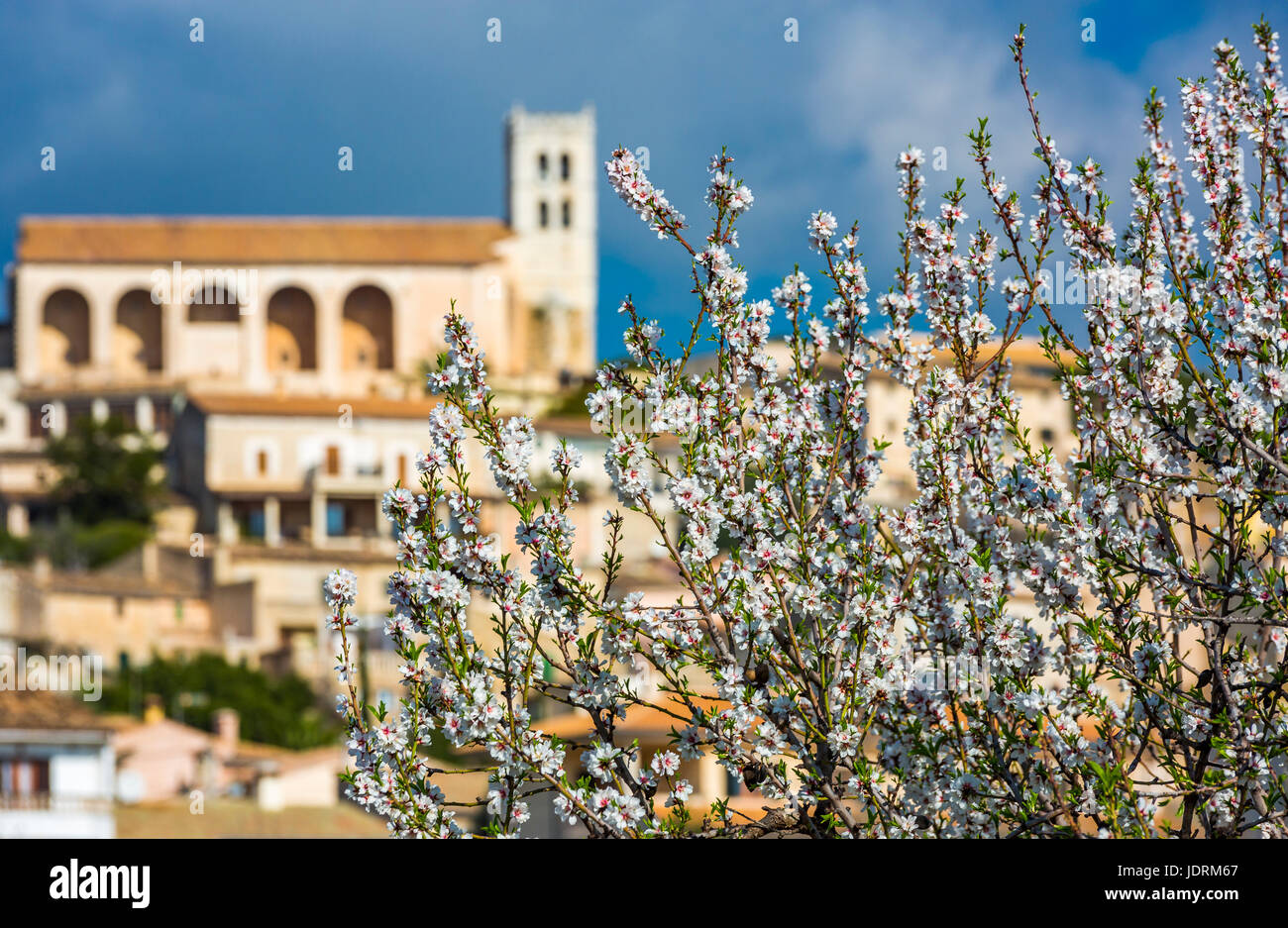 Selva tramuntana majorca balearic hi-res stock photography and images ...