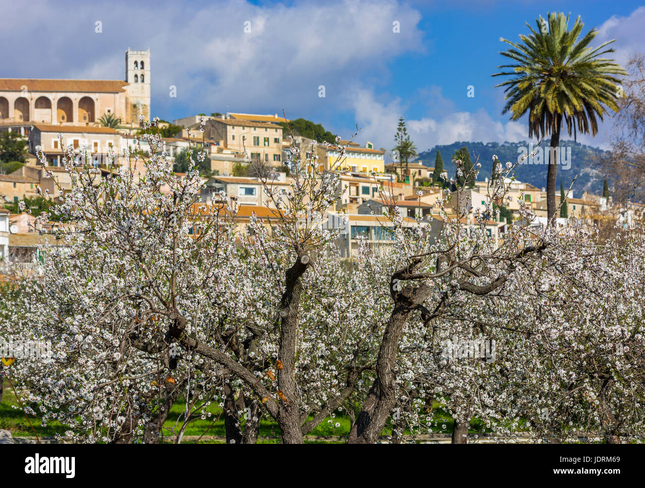Flora selva hi-res stock photography and images - Alamy