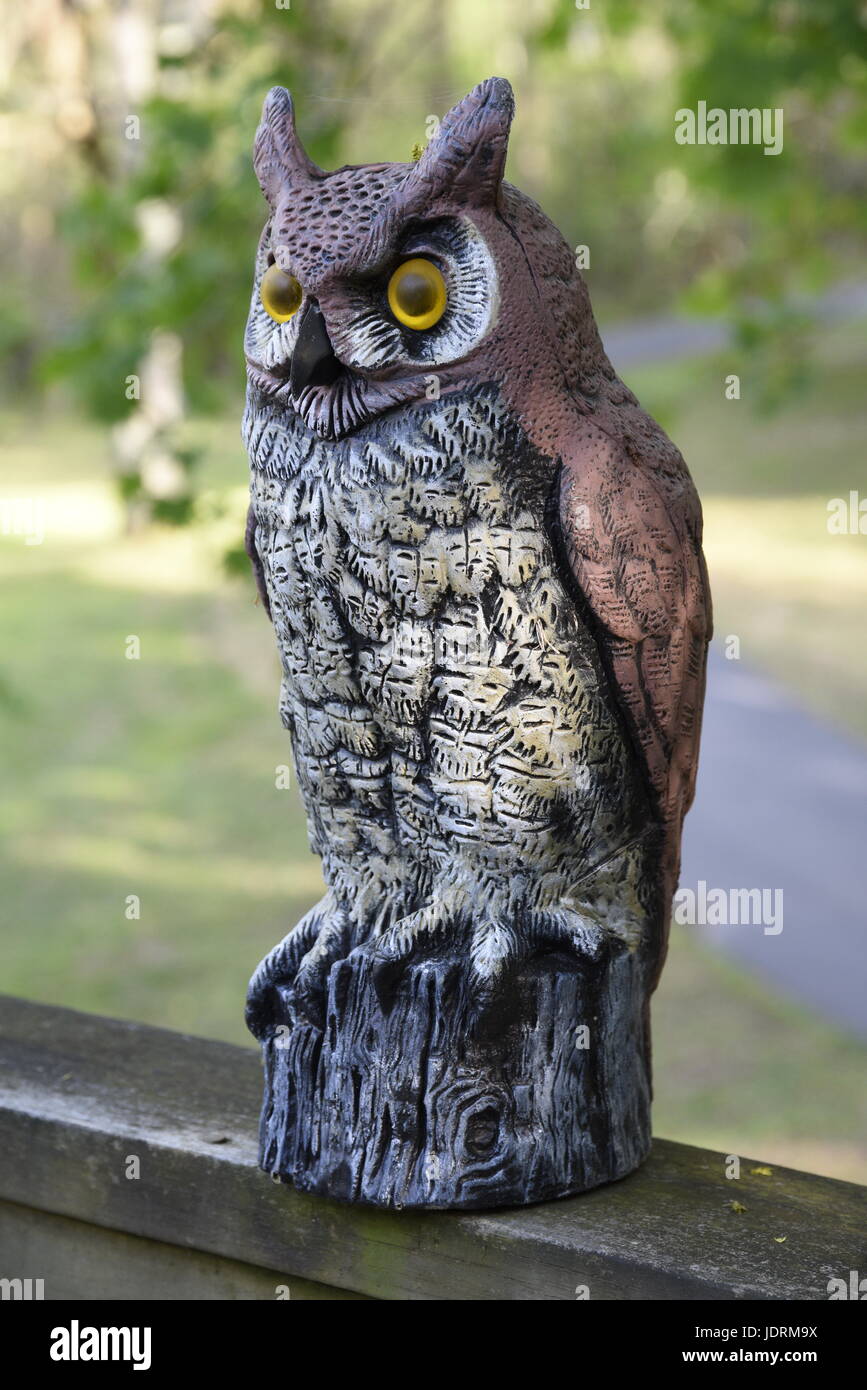 Owl Statue High Resolution Stock Photography and Images - Alamy
