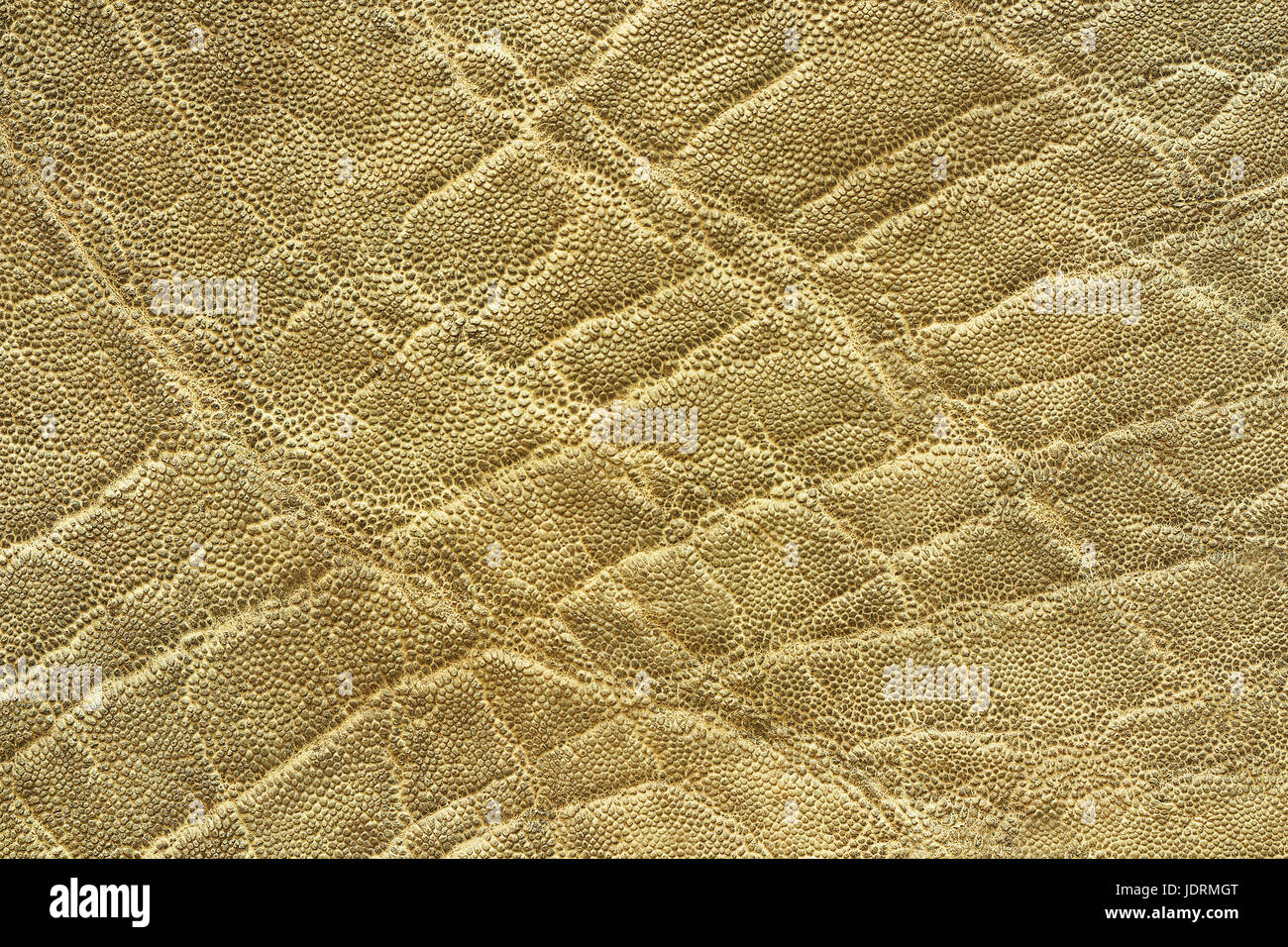 interesting textured elephant skin, pattern of real leather for your ...