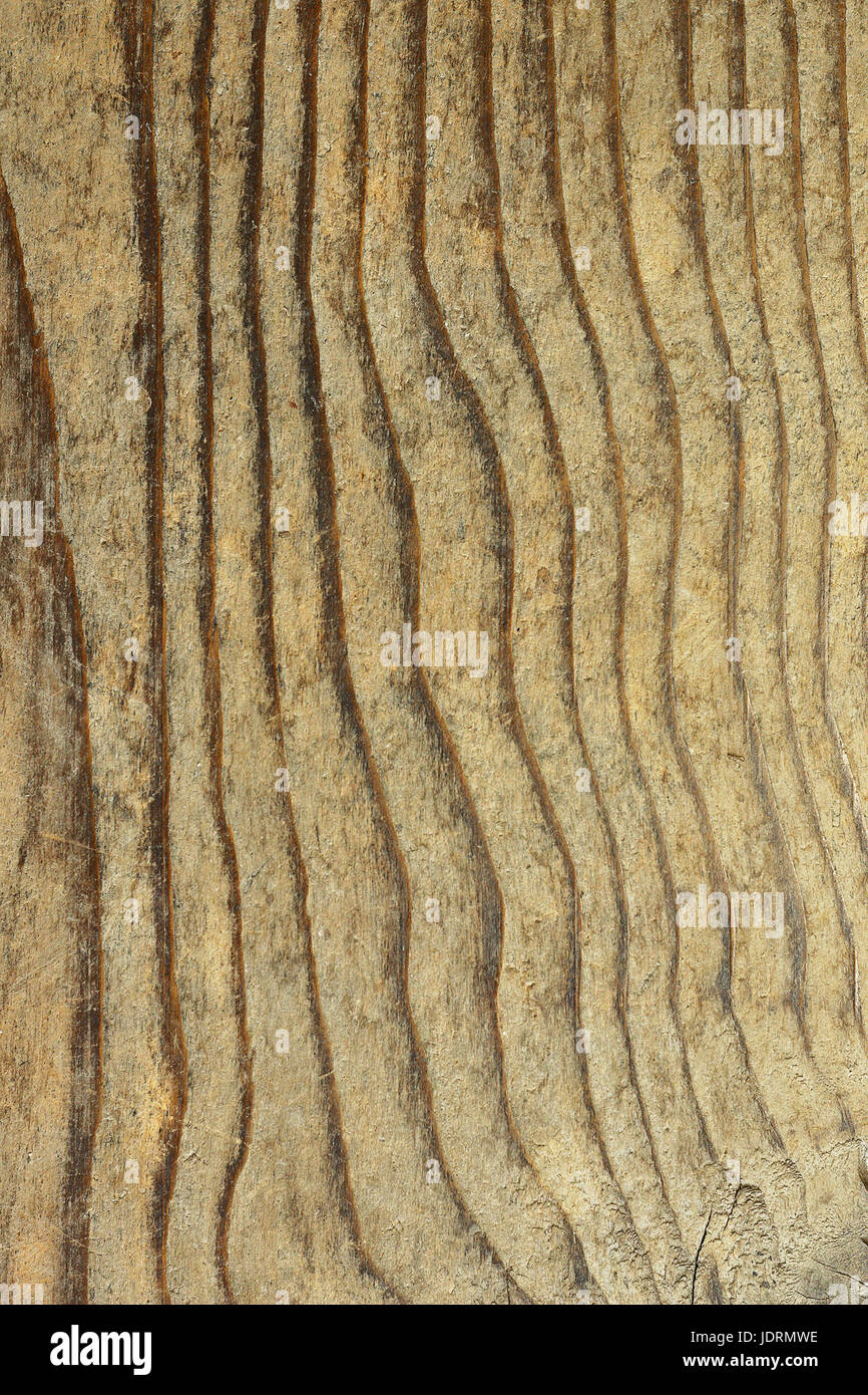 texture of fir plank, wooden pattern for your design Stock Photo - Alamy