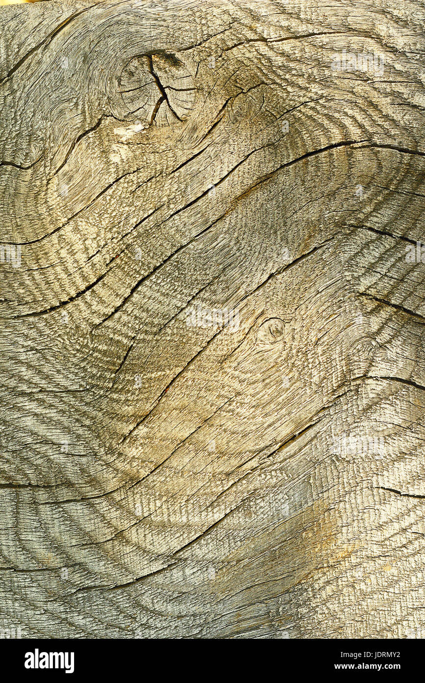 detailed texture of wooden plank for your design Stock Photo - Alamy