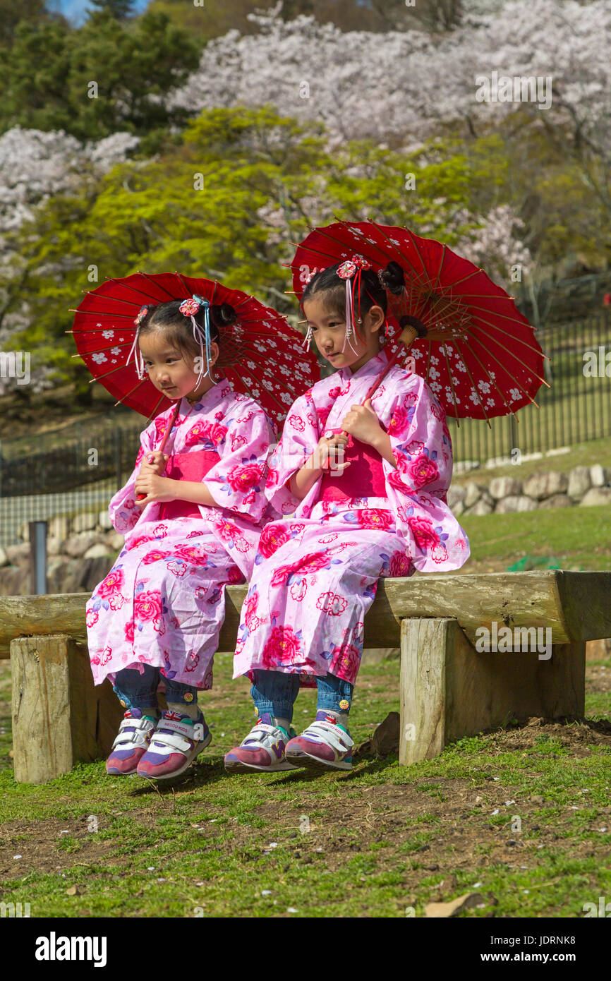 Two young Japanese girls posing for the camera under blooming sakura ...