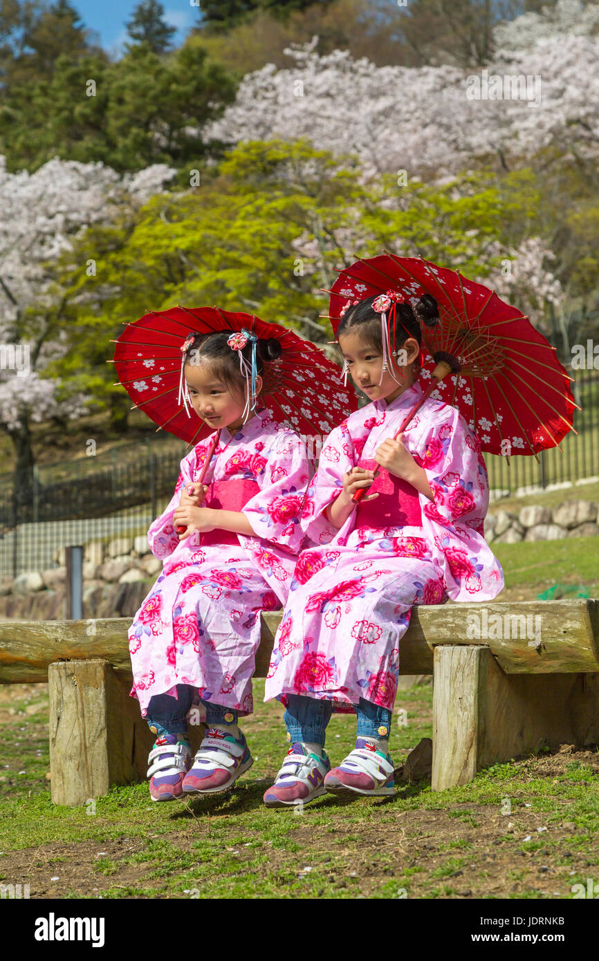 Two young Japanese girls posing for the camera under blooming sakura ...