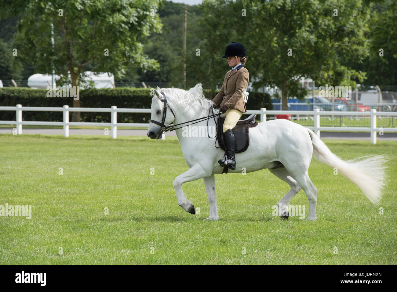 Woman Riding Pony High Resolution Stock Photography and Images - Alamy