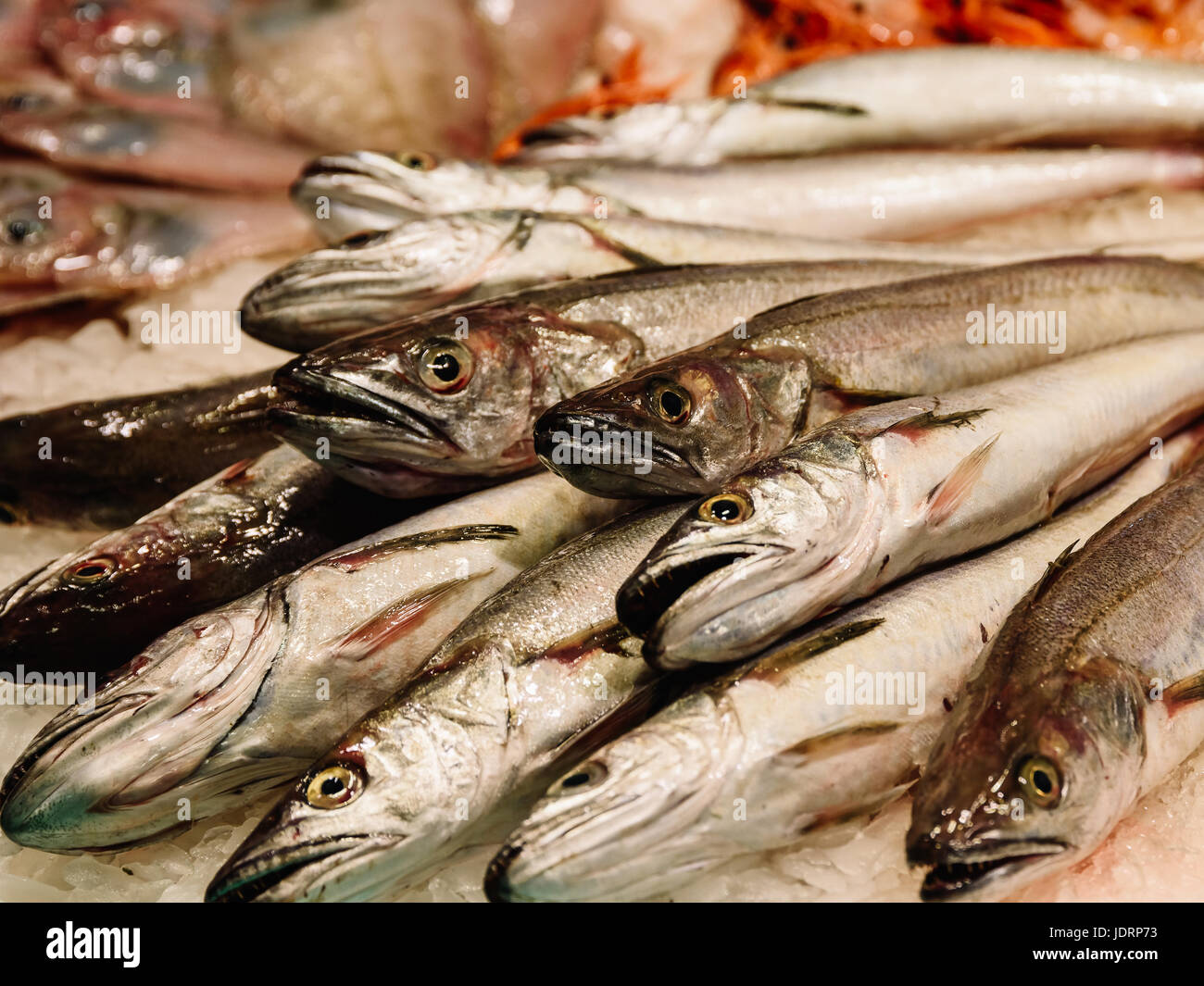 Seafood with ice hi-res stock photography and images - Alamy