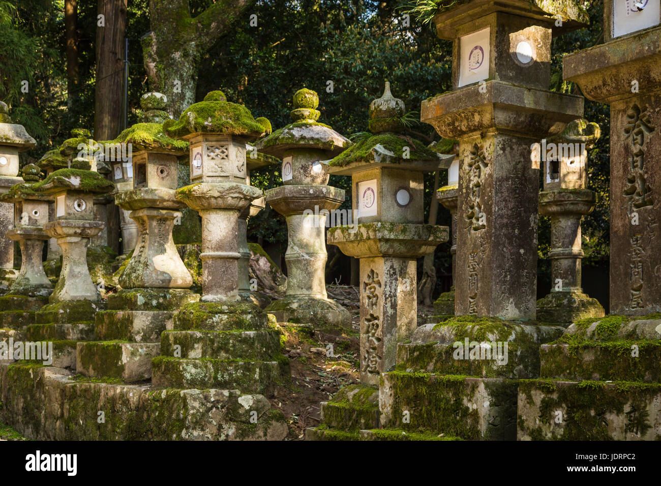Stone lanterns covered moss nara hi-res stock photography and images ...