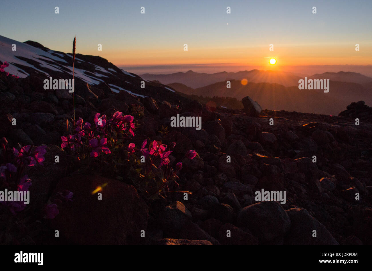 Sunlit beams hi-res stock photography and images - Alamy