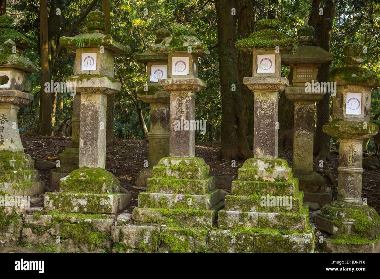 Moss covered stone lanterns hi-res stock photography and images - Alamy