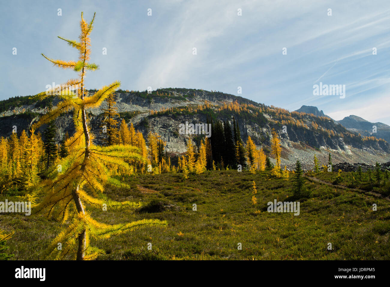 Wavy meadow hi-res stock photography and images - Alamy