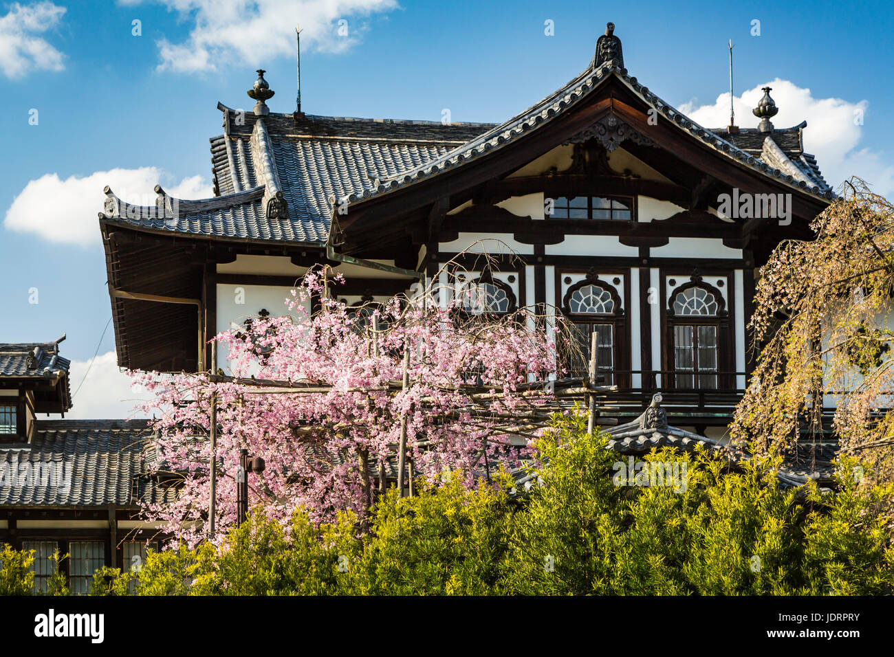 Japanese architecture cherry blossoms hi-res stock photography and ...