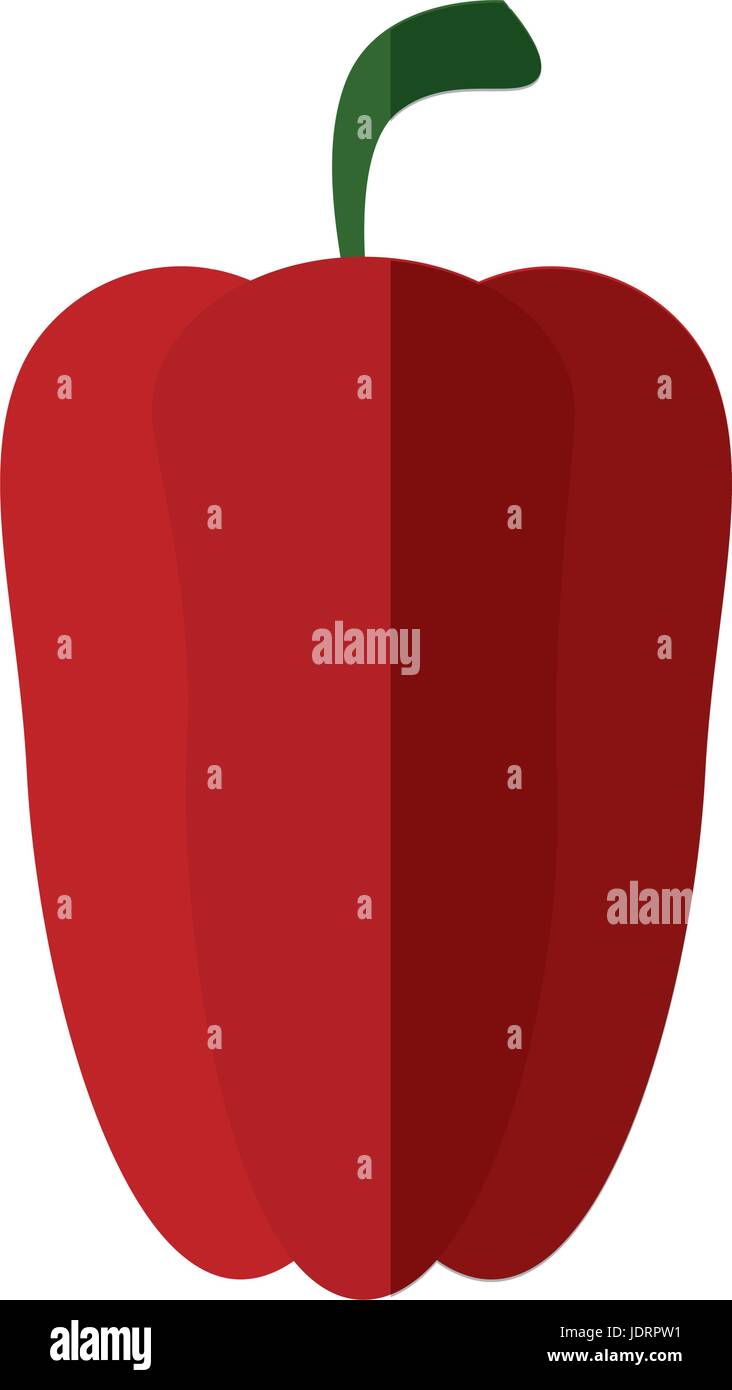 pepper vegetable icon over white background vector illustration Stock ...