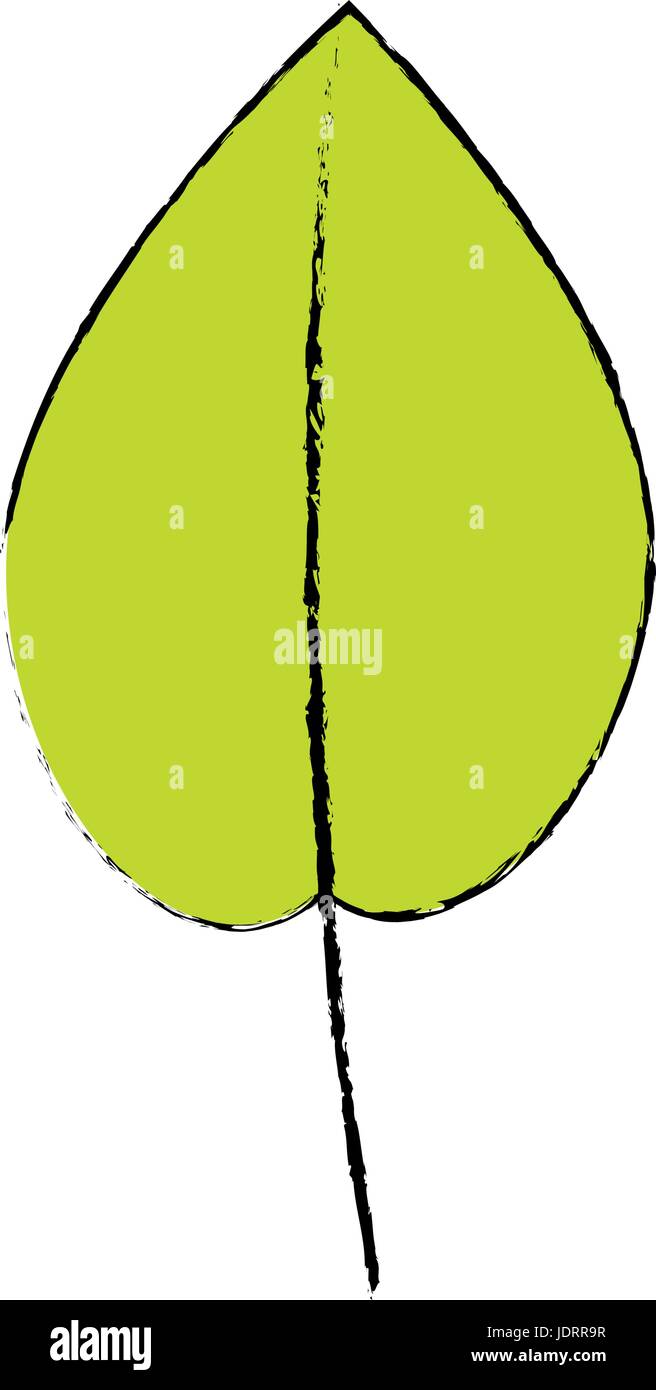 leaf icon over white background vector illustration Stock Vector Image ...