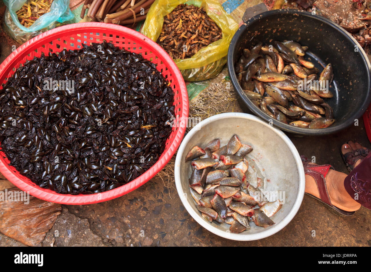 Fried Insect beetles on local market in cambodia Stock Photo - Alamy