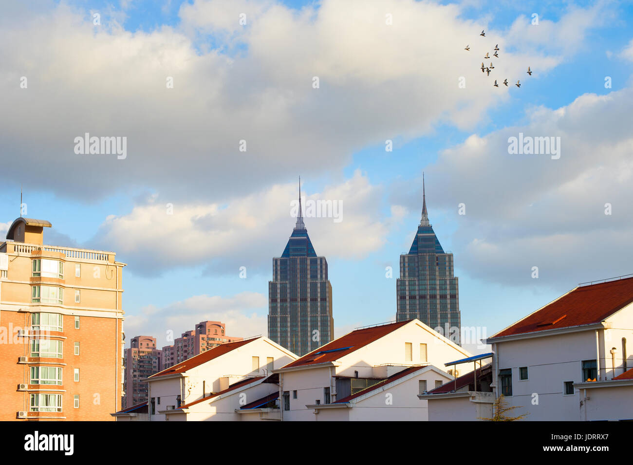 Shanghai tower china birds hi-res stock photography and images - Alamy