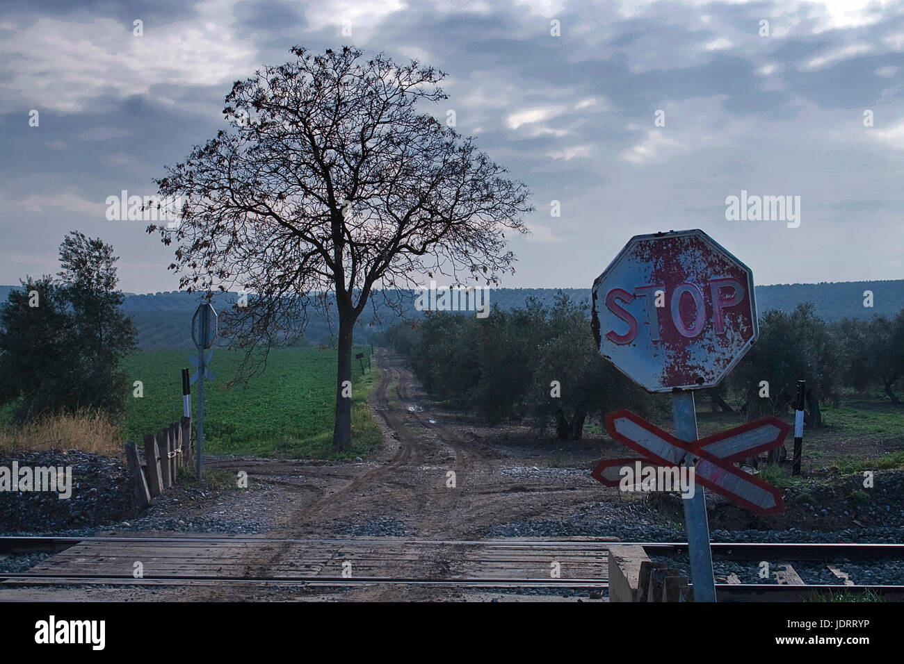 Level crossing without barrier hi-res stock photography and images - Alamy