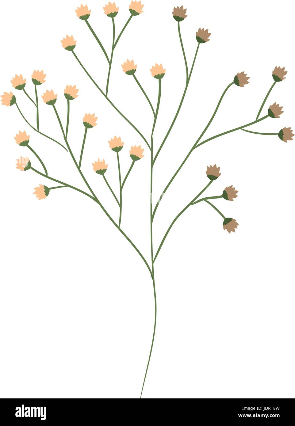 stem with beautiful flower icon over white background vector ...