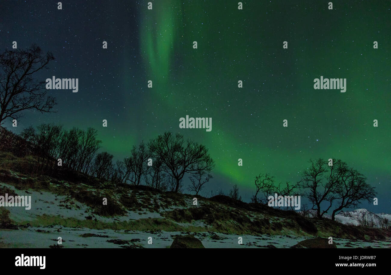 Magic at Night Stock Photo - Alamy