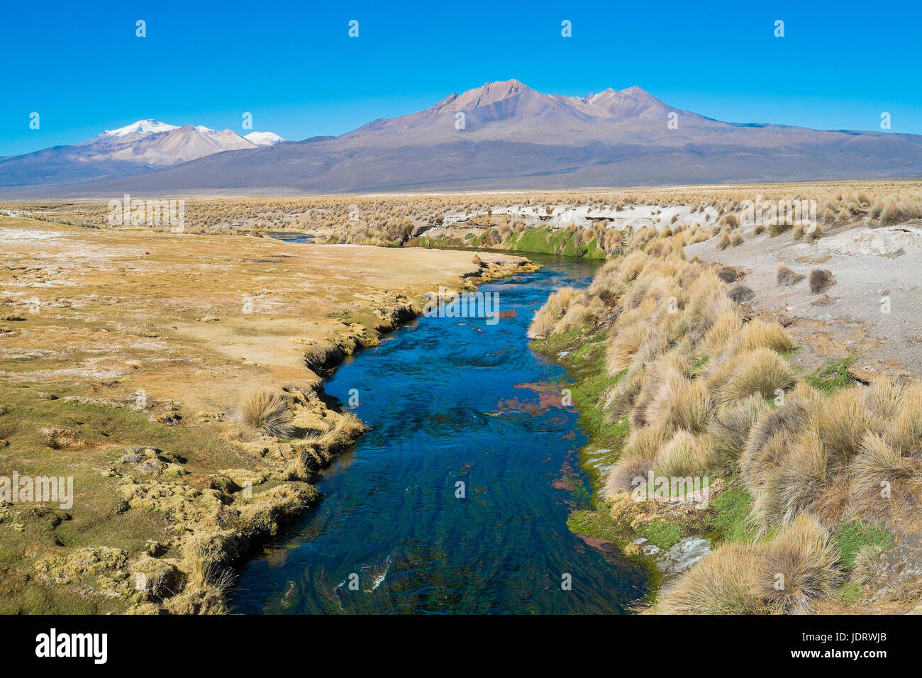 River in Sajama National Park, Bolivia Stock Photo - Alamy