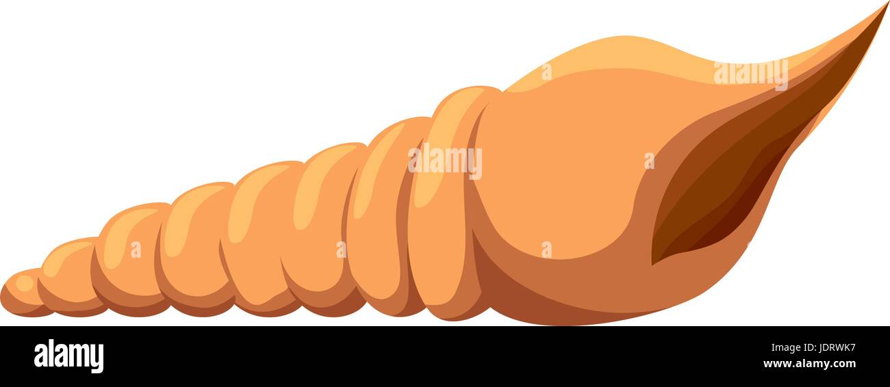 isolated beach seashell icon vector graphic illustration Stock Vector ...