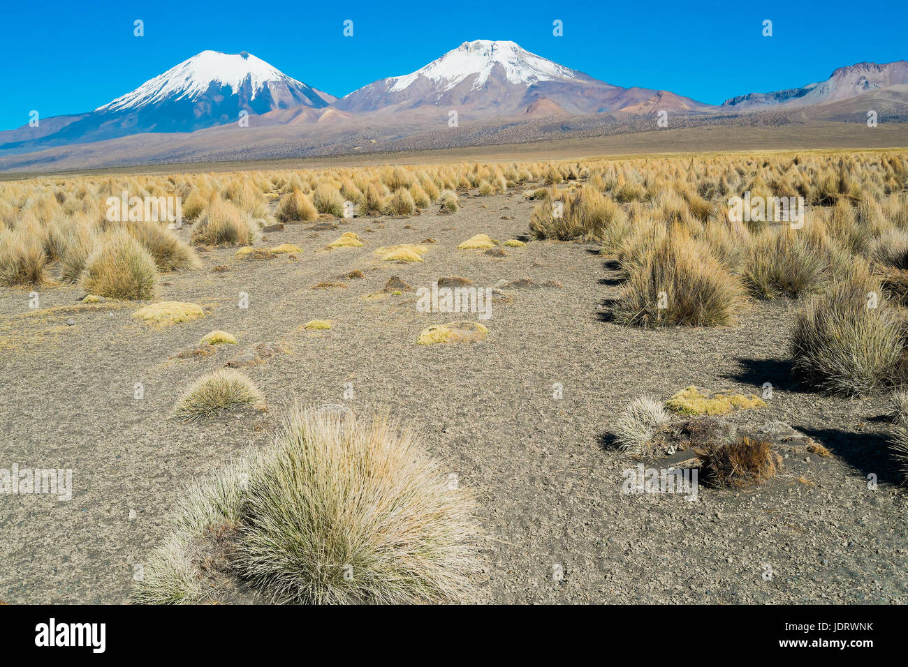 Twin volcanos Parinacota and Pomerape in Sajama National Park, Bolivia ...