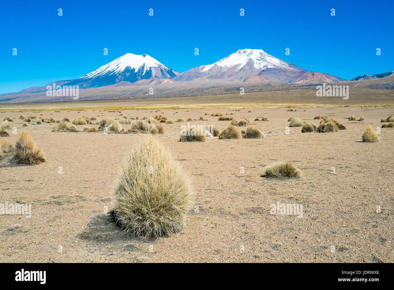 Parinacota and pomerape volcanos hi-res stock photography and images ...