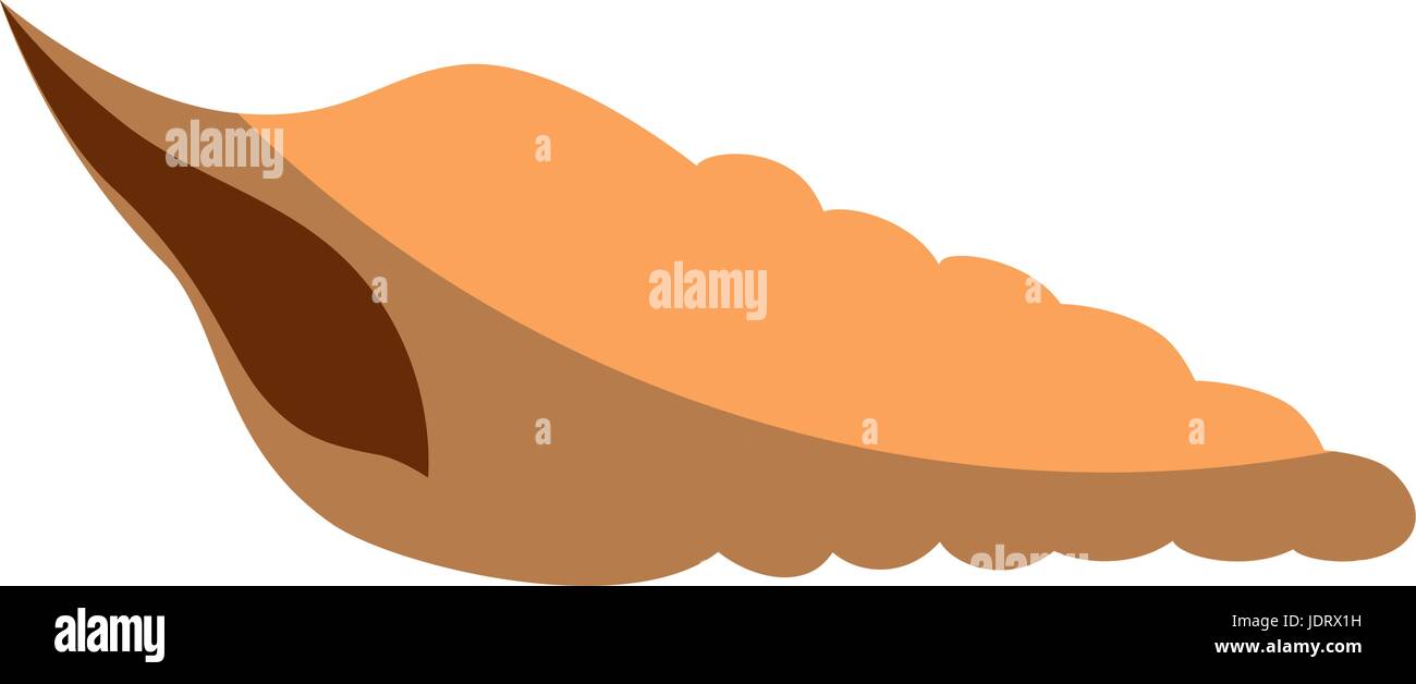 isolated beach seashell icon vector graphic illustration Stock Vector ...