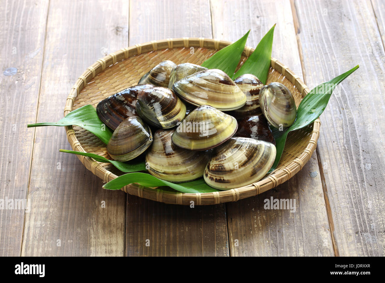 hamaguri, honhama, japanese clam, common orient clam,meretrix lusoria ...
