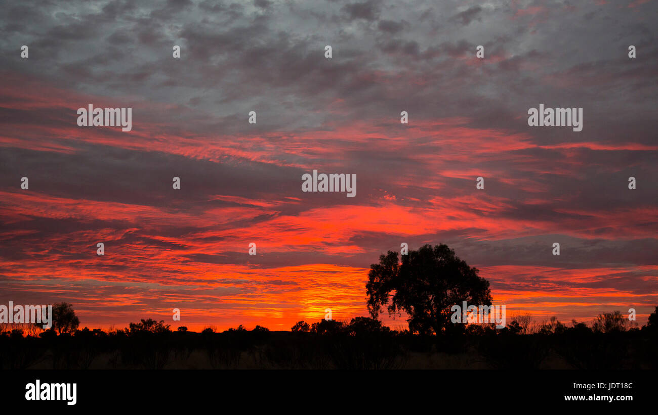 Sunset in the Simpson Desert, Northern Territory, Australia Stock Photo ...