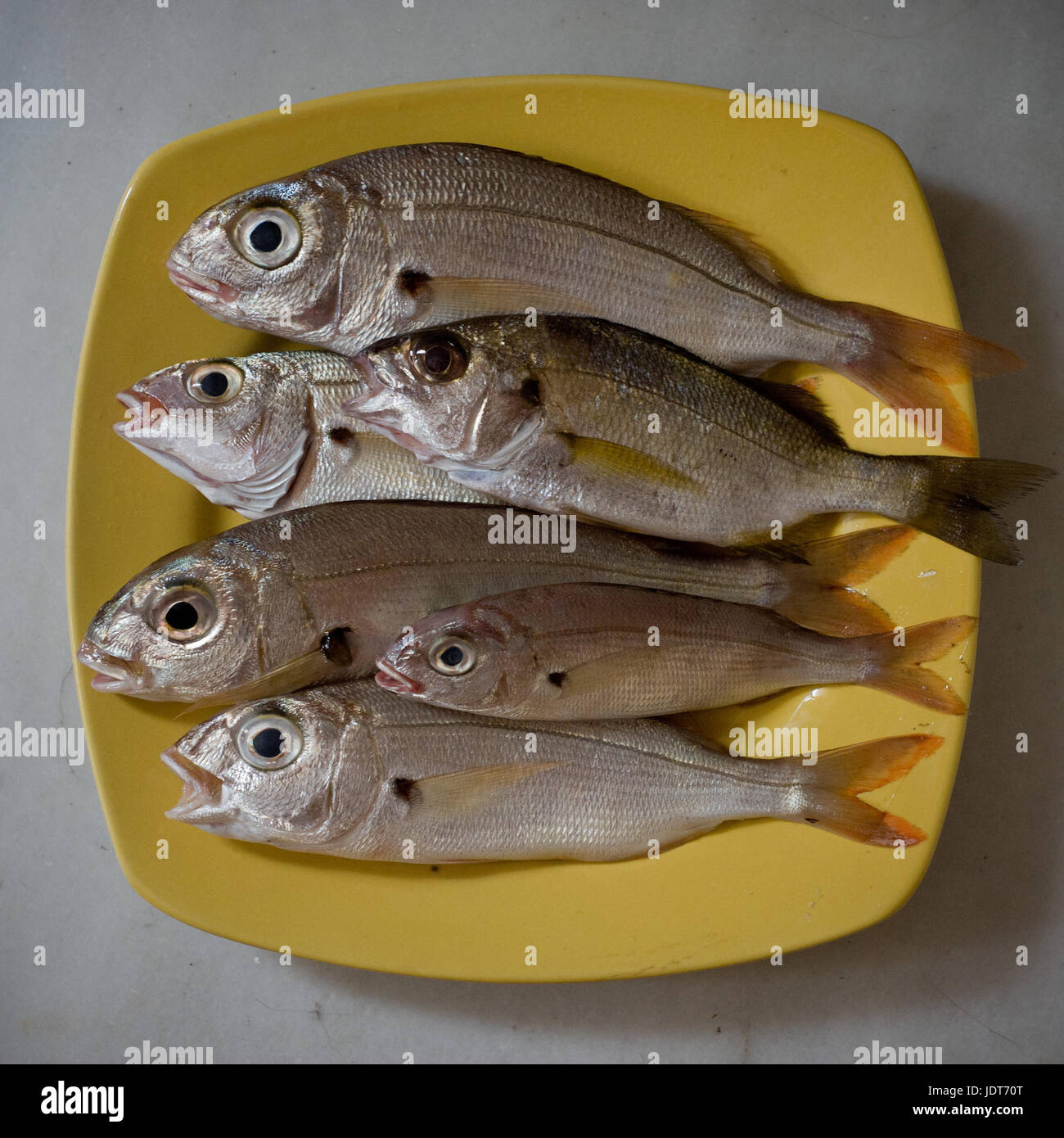 Fish on a plate Stock Photo - Alamy