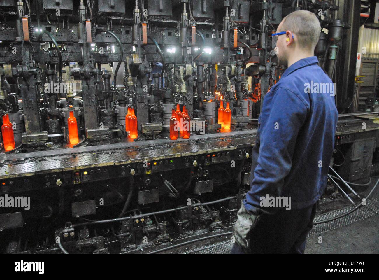 Italy, glass industry, production of glass bottles with recycled glass ...