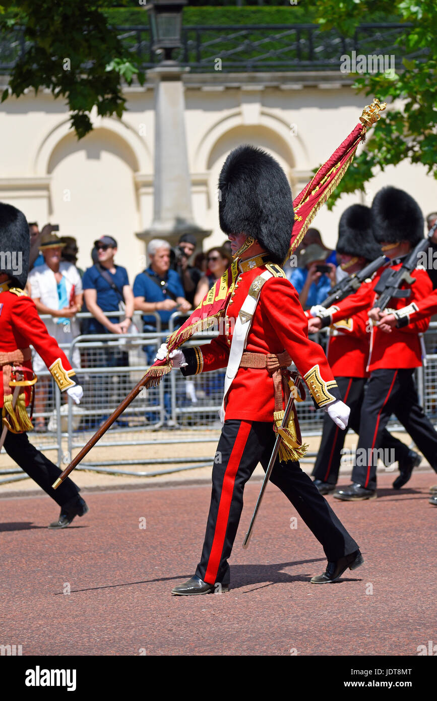 The Colour of the 1st Battalion Irish Guards during the Trooping the ...
