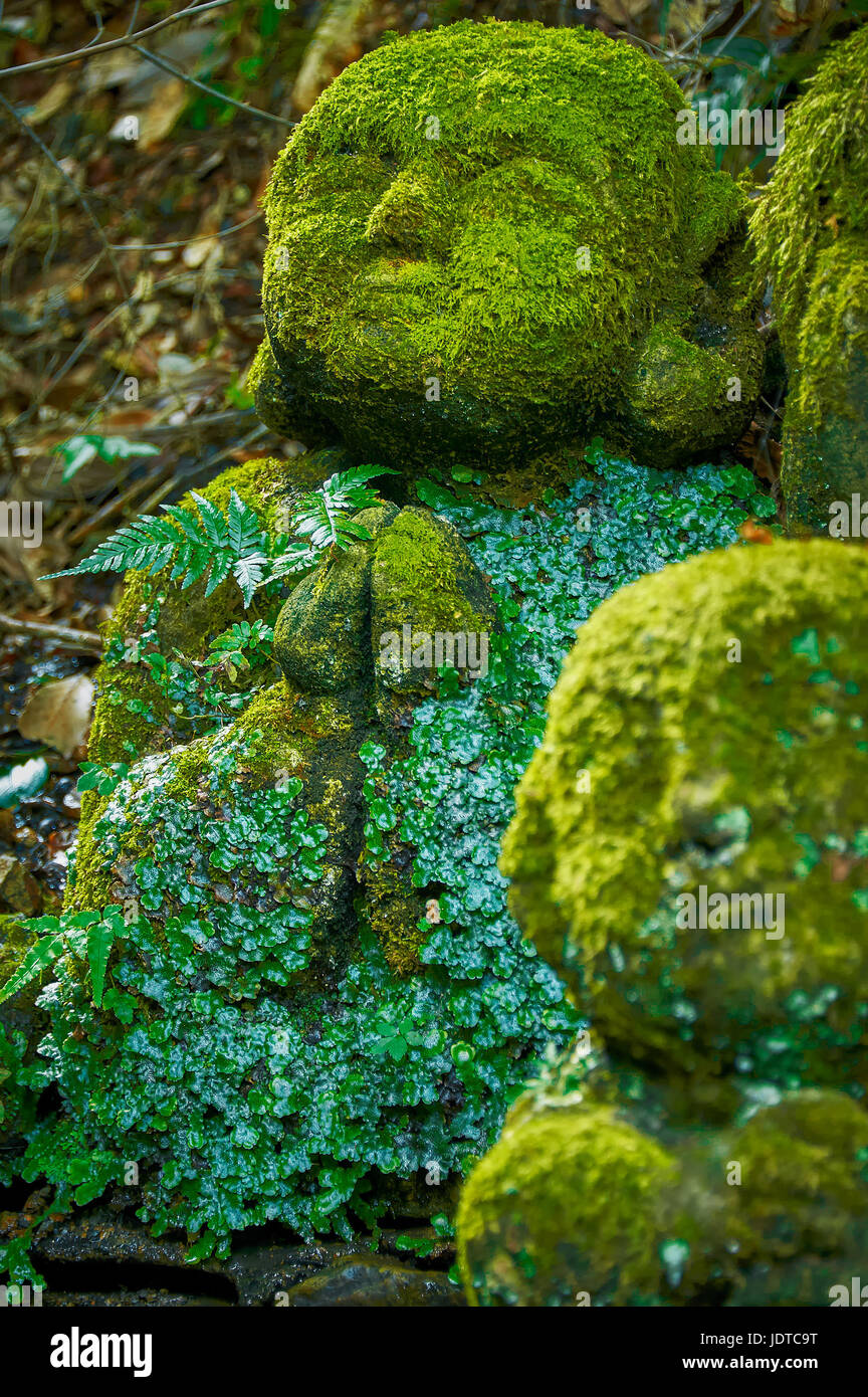 OTAGI TEMPLE, KYOTO, JAPAN – OCTOBER 19, 2016 : Stone statues covered ...